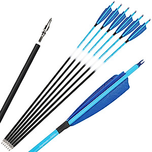 AMEYXGS 12Pcs Archery 30Inch Carbon Arrow Target Practice Hunting Arrow Spine 500 with 5inch Shield Turkey Feather Removable Tips for Traditional Recurve Compound Bow Longbow (Blue, 12)