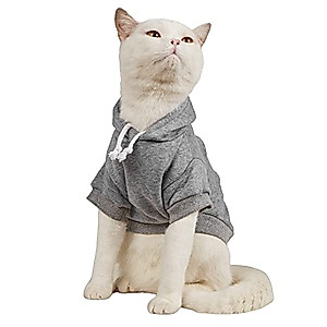 QWINEE Basic Dog Hoodie, Dog Warm Jacket, Cat Apparel, Dog Shirt, Dog Clothes for Puppy Kitten Small Medium Dogs Cats Light Grey X-Large