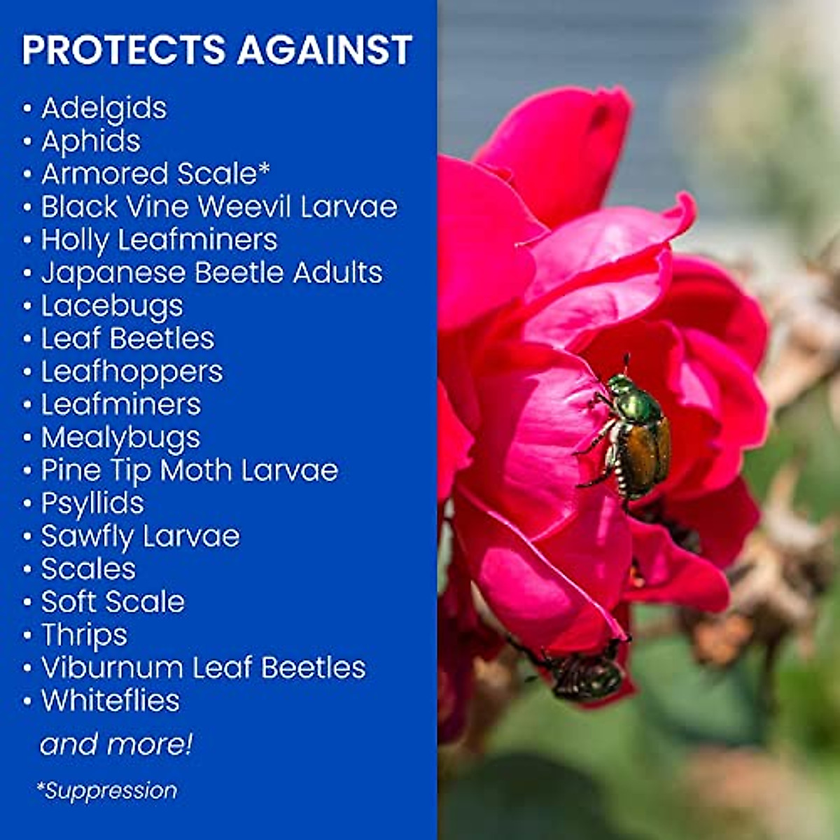 BioAdvanced 2-in-1 Systemic Rose and Flower Care II, Granules, 5 lb with BioAdvanced Rose and Flower Insect Killer, Ready-to-Use, 24 oz