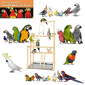 Large Bird Playground Parrot Perch Bird Stands 3 Layers Parrot Playstand Gym Playstand Wood Playpen for Parakeet Lovebirds Conure Cockatiel Cockatoos with Feeder Cups (3 Layers)