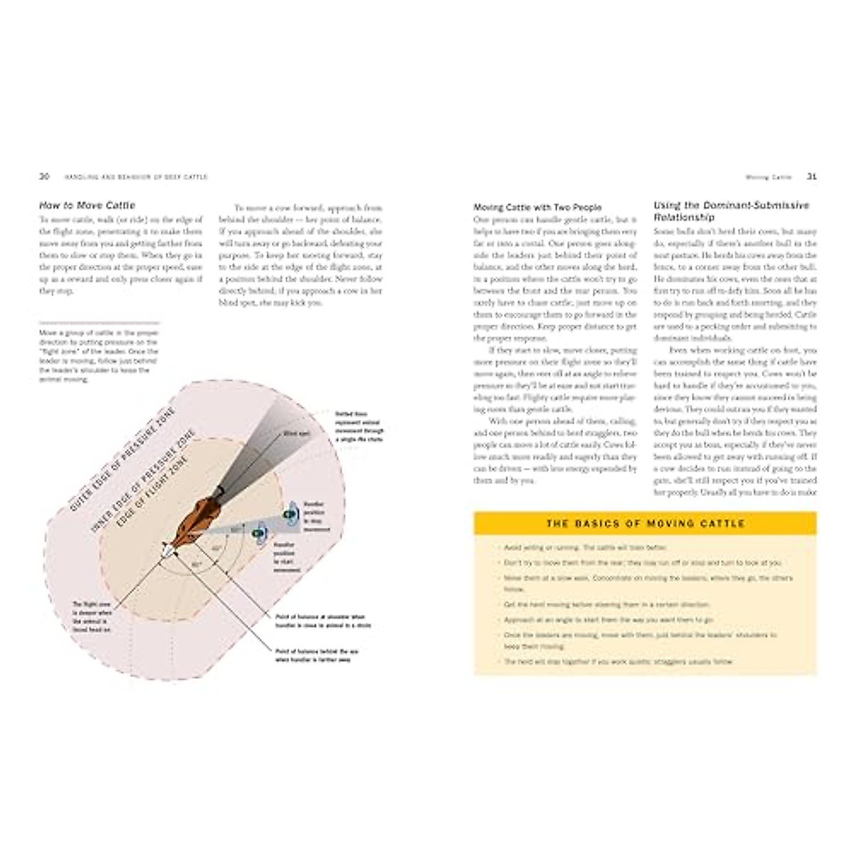 Storey's Guide to Raising Beef Cattle, 4th Edition: Health, Handling, Breeding