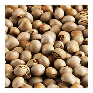 My Favorite Deals 50 Organic Gandules, Pigeon Peas (Cajanus cajan) Seeds
