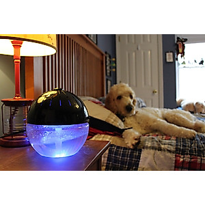 EcoGecko Earth Globe Air Revitalizer, Air Freshener, Room Aromatizer, Aroma and Essential Oil Diffuser with 10ML Lavender Oil (Black)