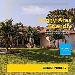 Barenbrug PanAm Bermudagrass with Yellow Jacket Coating - Grass Seed for Sunny Areas and Humid Climates - New and Improved Blend, (1 LB Bag)