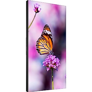 NEC MultiSync UN552V 55" 16:9 Full HD S-IPS Ultra Narrow Bezel Video Wall LCD LED Display with Direct LED Backlights, 3.5mm Bezel Gap HDMI/DP Daisy Chain, SpectraView Engine