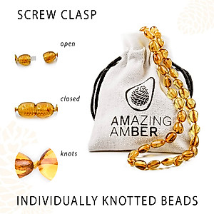 AMAZING AMBER Necklace - 100% Authentic Amber (Golden Honey, 13.5 inches), Certified Amber Necklace with Safety Clasp and Knotted Beads - Real Amber Necklace