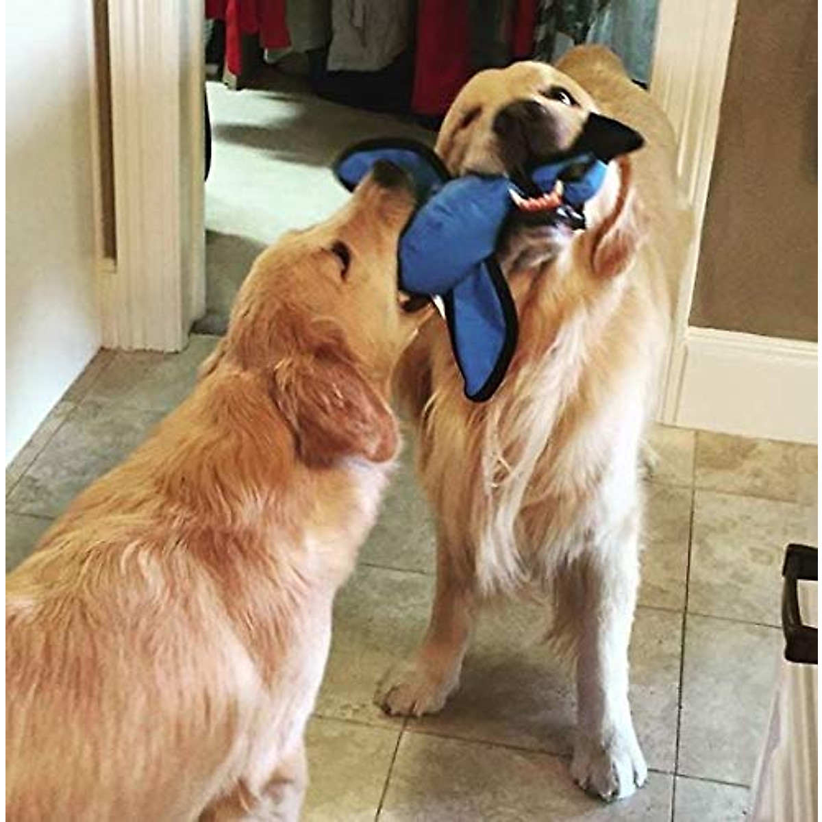 Nerf Dog Large Nylon Launching Duck with Interactive Design, Blue (3473), for All Breed Sizes