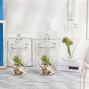 Livejun Glass Apothecary Jars 45 Ounce Decorative Candy Cookie Jars ，Clear Elegant Storage Jar with lids Canisters Sets for the Kitchen Wedding Home Centerpiece Candy Buffet Set of 2