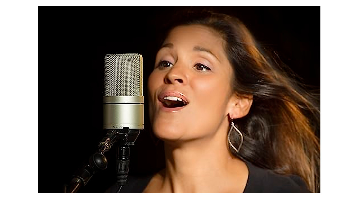 MXL 990 Condenser Microphone - Perfect for Podcasting