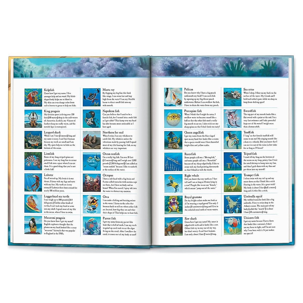 My Very Own Pirate Tale - Personalized Children's Story - I See Me! (Hardcover)