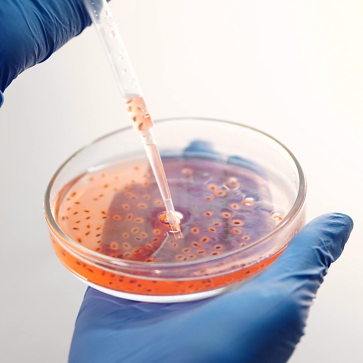 JOIKIT 80 Pack Sterile Plastic Petri Dishes, 90mm Dia × 15mm Deep Petri Dishes with Lids, Lab Petri Dishes with 200 Plastic Transfer Pipettes for Laboratory Studies, Scientific Research