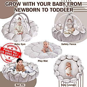 5-in-1 Convertible Baby Play Gym with 6 Toys, Tummy Time Mat for Sensory Development, Baby Activity Center from Newborn to Toddler, Ball Pit, Cat & Dog Bed, Soft Plush Pet Bed, No Ball Included