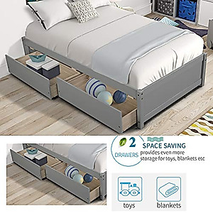 AOOSWEER Twin Platform Bed Frame with 2 Storage Drawers, Wood Twin Bed Frames for Kids Toddler Girls Boys, 10 Slats Support, No Box Spring Needed, Easy Assembly ( Twin, Dark Grey)