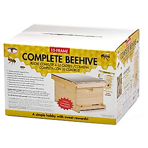 Little Giant® 10 Frame Complete Hive | Beekeeping Hive | Bee Hive Kit | 10 Frame Beehive | Beekeeping Supplies | Made in USA