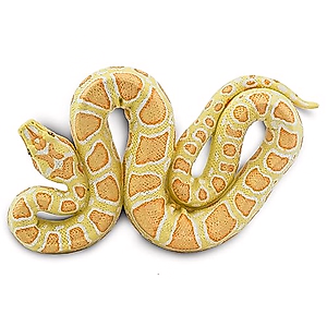 Safari Ltd. Albino Burmese Python Figurine - Lifelike 5.5" Snake Figure - Educational Toy for Boys, Girls, and Kids Ages 3+