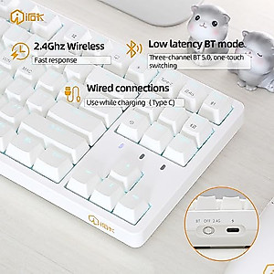 IROK FE87/104 Pro Wireless hot-swappable Gaming Keyboard, backlighting Mechanical Keyboard, Silenced Construction, Bluetooth/2.4G/Wired for Windows PC Gamers White-Red Switch