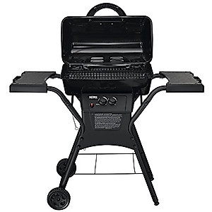 THERMOS 265 2-Burner Liquid Propane Gas Grill