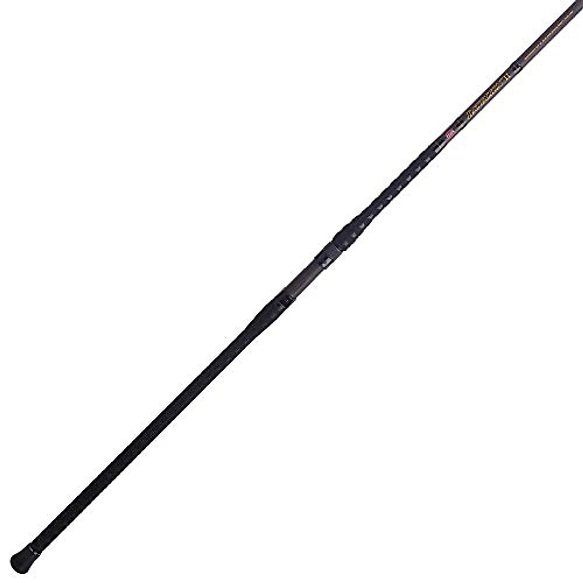 PENN 10’ Battalion II Surf Conventional Casting Rod, 15-30lb Line Rating, 2 Piece Graphite Composite Fishing Rod, Black/Gold