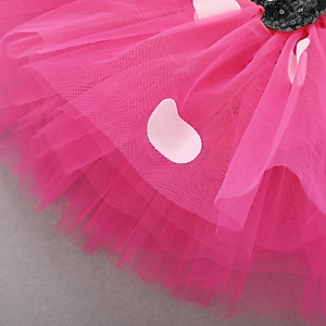 Mouse 2nd Birthday Outfits Baby Girls Short Sleeve Romper Polka Dots Mini Tutu Skirt Headband 2 Years Old Cake Smash Photo Props I’m Two 1st First Second Birthday Party Supply Clothing Set Hot Pink 2T