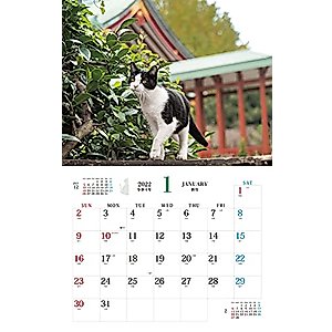 そとねこ (インプレスカレンダー2022)