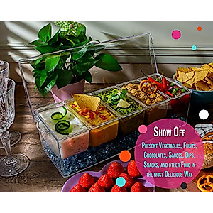 gesPINK Condiment Server with Small Lids, Bar Condiment Tray with Lid, Garnish Tray Bar Fruit Caddy with Lid, Chilled Condiment Server for Parties, Plus Utensils