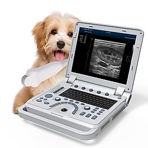 Veterinary B-Ultrasound Scanner with High Resolution and PW Doppler for Animal Horse Equine Goat Dog Rabbit Snake Dolphin Convex & Linear Probe