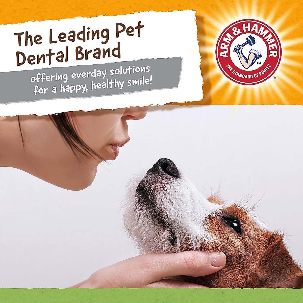 Arm & Hammer for Pets Nubbies Dental Toys T-Rex Dental Chew Toy for Dogs | Best Dog Chew Toy for Moderate Chewers | Reduces Plaque & Tartar Buildup Without Brushing, Mint Flavor, 24 Pack