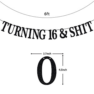 Happy 16th Birthday Banner, Happy Sweet 16, 16 and Fabulous, Funny Teens 16th Birthday Party Decorations Backdrop Gifts, Black Glitter