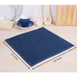 AMOUR INFINI Kitchen Dish Cloths Set of 8 – Highly Absorbent, Super Soft Terry Cotton Dishcloth (12"x12" Inch) Wash & Cleaning Cloths for Kitchen & Dishwashing (Blue)