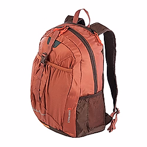 Eddie Bauer Stowaway Packable Backpack-Made from Ripstop Polyester, Maroon, 30L