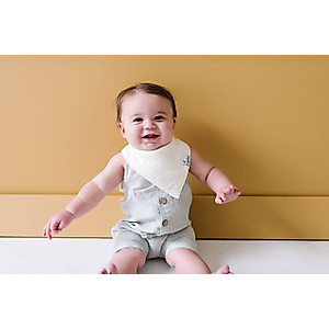 Copper Pearl Baby Bandana Bibs - 4 Pack Soft Cotton Baby Bibs for Drooling and Teething, Absorbent Drool Bibs for Baby Girl and Boy, Adjustable to Fit Newborns to Toddlers, Tons of Styles (Stone)