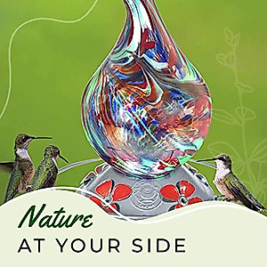 Gnarly Hummingbird Feeder by Grateful Gnome - Large Hand Blown Stained Glass Feeder for Garden, Patio, Outdoors, Window with Accessories S-Hook, Ant Moat, Brush - 16 fl oz, Gnarly Rainbow Design