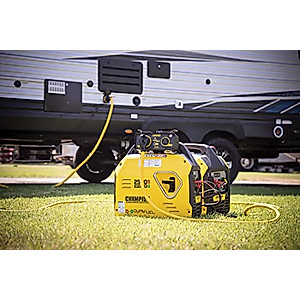 Champion Power Equipment 100827 Foot 30-Amp 125-Volt RV Generator Power Cord, (TT-30P to L5-30R)