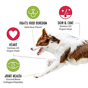 iHeartDogs Dog Food Topper - Freeze-Dried Raw Dog Food Seasoning - Grain Free Superfood Meal Mixer (Beef, 8 Ounce)