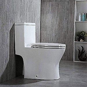 WOODBRIDGEE Modern Elongated One piece Toilet Dual flush 1.0/1.6 GPF,with Soft Closing Seat,1000 Gram MaP Flushing Score,white,T-0032