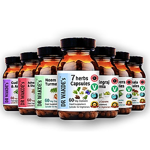 DR WAKDE'S Dill Seed Capsules (Anethum graveolans, 60 Veg Caps, Plant-Based Supplement, Ayurvedic Herb, All Natural, Vegan)