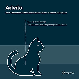 VetOne Advita Probiotic Nutritional Supplement Powder for Cats (2 Pack)