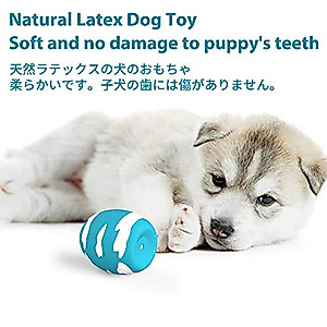 SCHITEC Dog Squeaky Toy, 6 PCS Latex Bouncy Egg Balls with Squeaker for Puppy Small Pet Dogs, Soft Rubber Sound Toys for Interactive Fetch Play