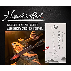 Concord Genbu Traditional Japanese Chef's Knife Raw Hammered Double Beveled 9CR18MOV Blade w/ 60 HRC. Tortoise Shell Resin Handle. Comes with Magnetic Magnolia Wood Sheath with Stand. (7" Nakiri)