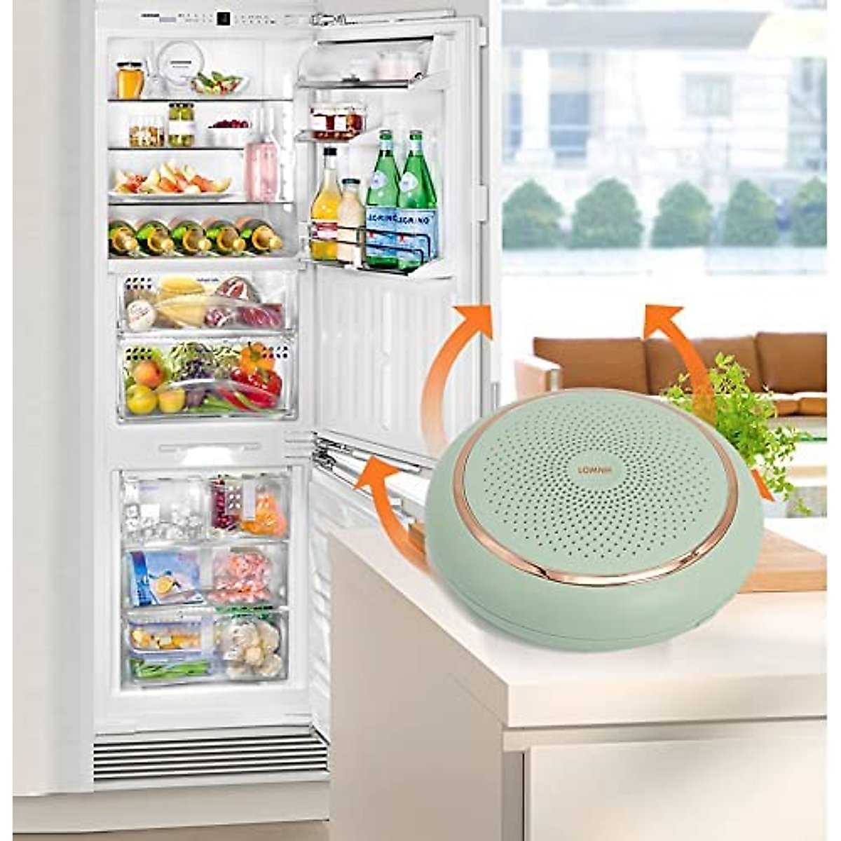 LOMNH Refrigerator Deodorizer, Ozone Odor Remove, Portable Mini Refrigerator deodorizer effectively remove odor in the refrigerator