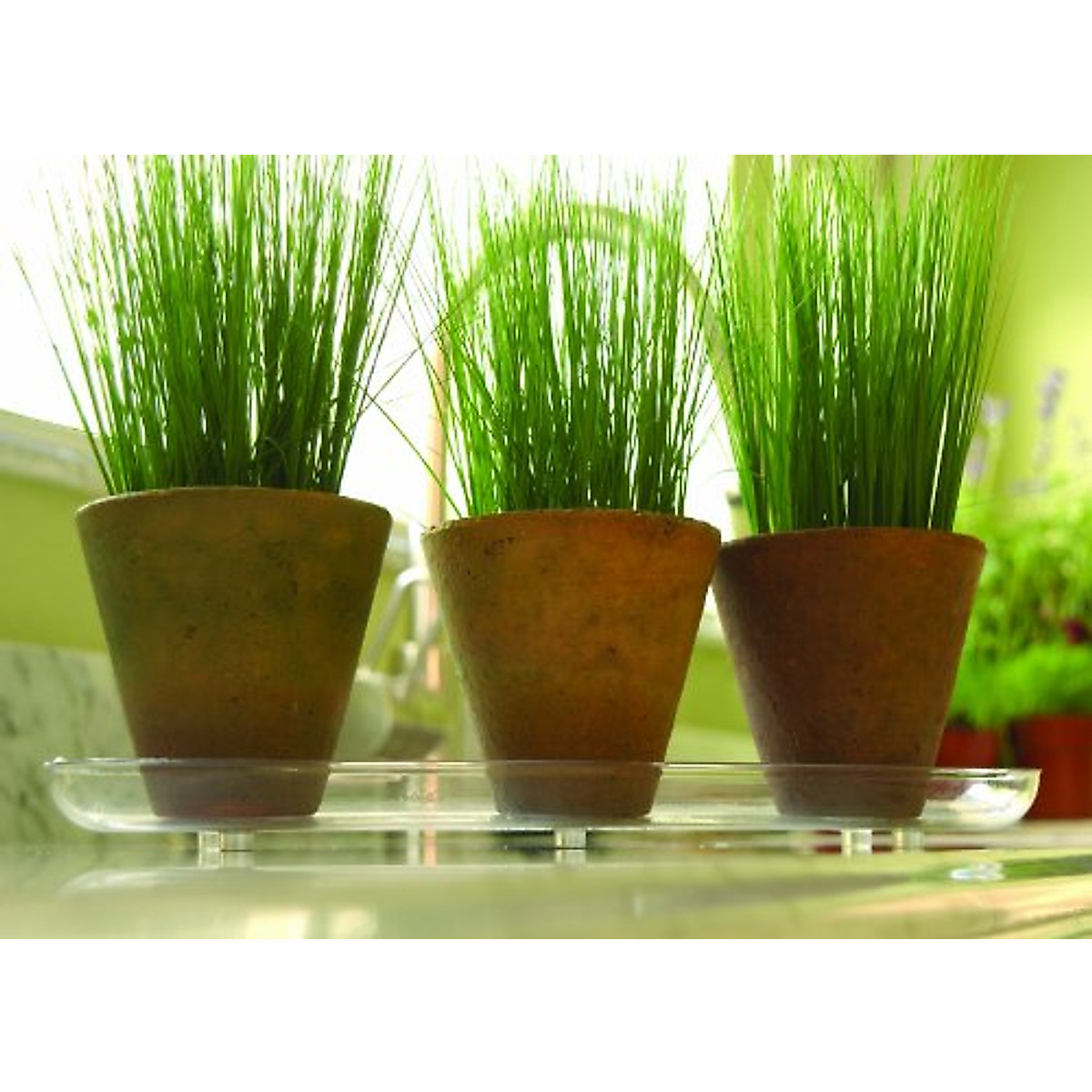 Plastec PLIPAK414 Oval Plantpak Saucer, Clear, 14-Inch