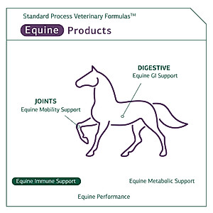 Standard Process Equine Immune Support - Whole Food Horse Supplies for Immune Support with Whey Protein, Magnesium Citrate, Kale, Sunflower Lecithin, L-Glutamine, Turmeric Root - 30 Ounce
