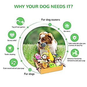 Dog Squeaky Toys For Small Dogs, 12 Pack Puppy Toys For Teething Cute Small Dog Toys Stuffed Plush Dog Toy Bundle Natural Cotton Puppy Rope Toy Dog Chew Toys For Puppies Pet Toys For Dogs