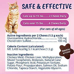 Under The Weather Pet Mobility Chews for Cats | Helps in Preventing Joint Issues | for Aging Cats Becoming Less Active | 60 Star Shaped Soft Chews