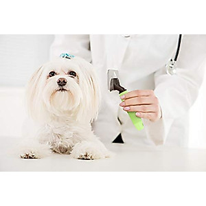 Slicker Dog Brush for Shedding Short Hair & Long Hair - Cat Brush & Dog Grooming Supplies, Deshedding for Single or Double Coated Dogs & Cats - Undercoat Rake for Your Pet