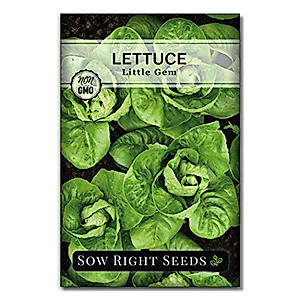 Sow Right Seeds - Hydroponic Vegetable Seeds for Planting - Lettuce, Kale, Arugula, and Pak Choi Seeds for Planting and Growing a Hydroponic Greens - Garden Indoors - Perfect for Your Growing System