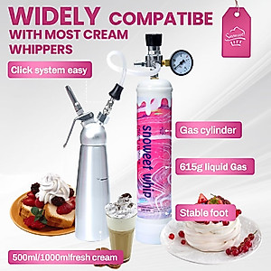 Whipped Cream Charger Cylinder Food Grade Tank Pure whipped cream dispenser 615g Cartridges (4 Cylinder)