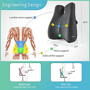 seeknow Lumbar Support Pillow for Office Chair Cushion for Back Pain Relief Office Chair Cushion Car Seat Cushion for Tailbone Pain Relief, Coccyx, Lower Back& Sciatica Pain Relief Butt Pillow Memory