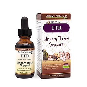 Amber NaturalZ UTR Urinary Tract Herbal Supplement for Dogs, Cats, Birds, Guinea Pigs, and Rabbits | Pet Herbal Supplement for Bladder Support | 1 Fluid Ounce Glass Bottle | Manufactured in The USA