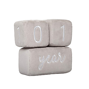Pearhead Baby Plush Photo Sharing Milestone Age Blocks, Picture Prop, Set of 3 Blocks, Gray